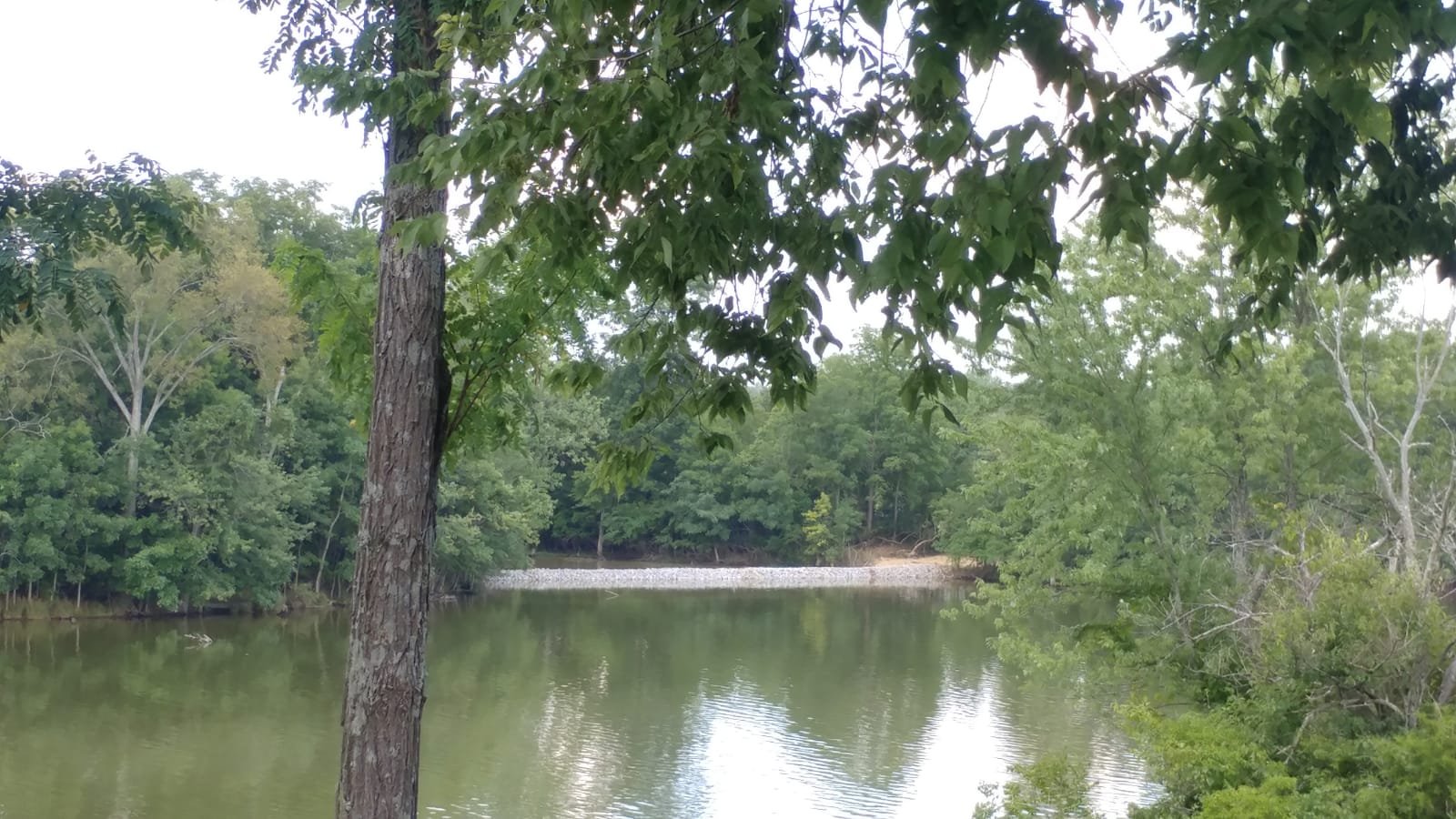 What is a forebay? – East Lake Neighborhood Association